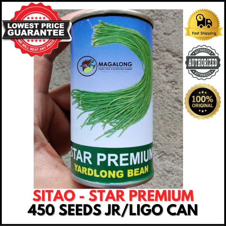 CONDOR SEEDS - POLE SITAW / SITAO SEEDS - STAR PREMIUM 450 Seeds JR CAN ...