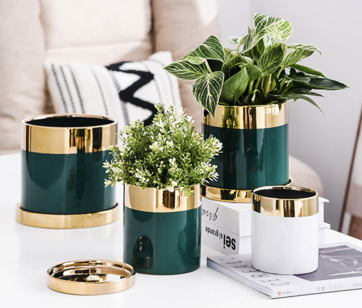 Luxury Plant Pot With Gold Base | Plant Pot | Material: Ceramic ...