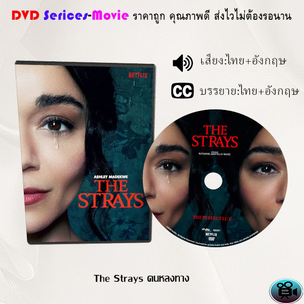 DVD เรื่อง The Strays คนหลงทาง (เสียงไทย+ซับไทย) | Lazada.co.th