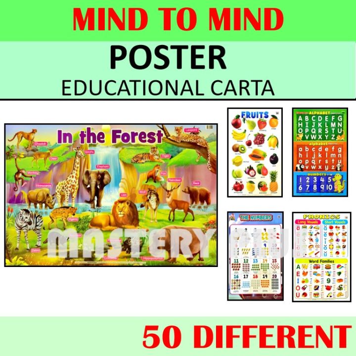 POSTER EDUCATIONAL CARTA TADIKA ABC,NUMBER,ANIMALS,FRUIT,VEGETABLES ...