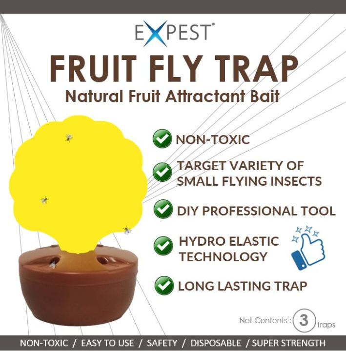 Fruit Fly Trap Expest No More Small Flies | Lazada Singapore