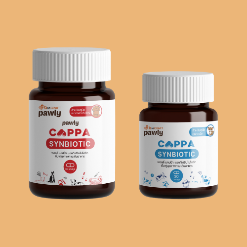 พอลลี่ แคปป้า Pawly Cappa (สำหรับสุนัขเล็ก กลาง ขนาดใหญ่)แอคทีฟซินไบโ ...