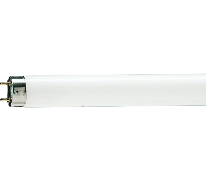 Philips 18W / 765 T8 Daylight Fluorescent Tube | Lazada