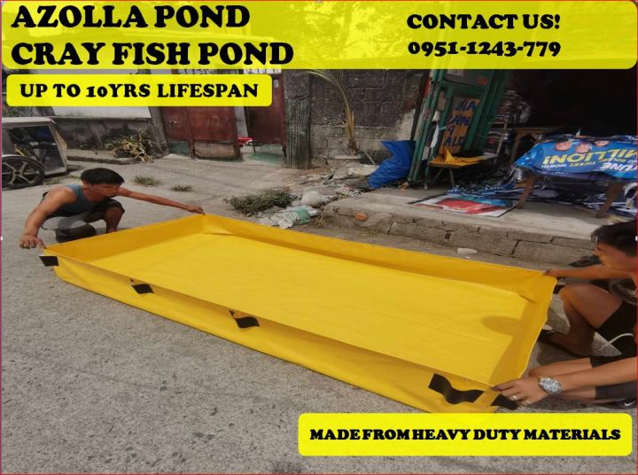 AZOLLA POND TRAPOND/ BED LINER | Lazada PH