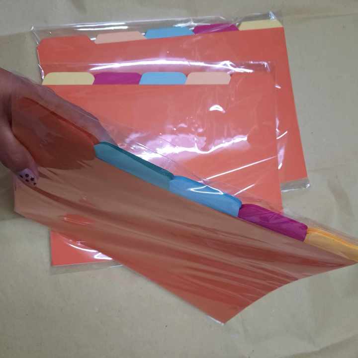 Colored File Divider - Long, A4 & Short | Lazada PH