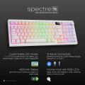 TECWARE Spectre 75 75% & 96 96% RGB Mechanical Wireless Bluetooth ...