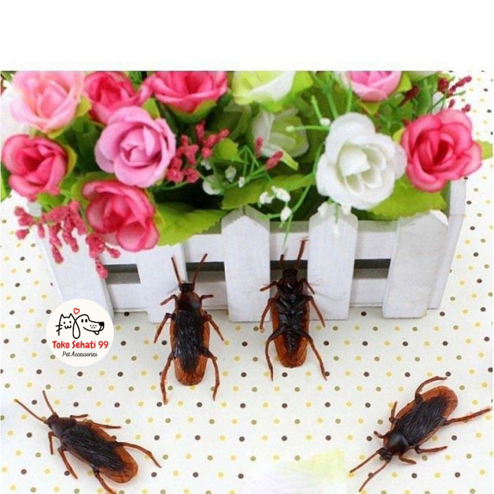 Mainan Kecoa Karet Mainan Kucing Kecoa Bahan Karet Mirip Asli | Lazada ...