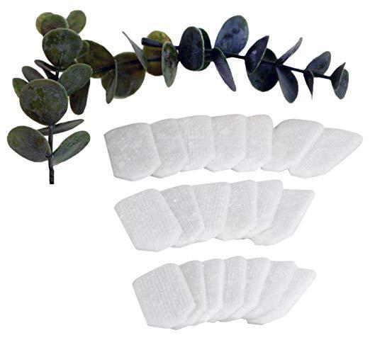 Vicks VapoPads Original Menthol Scent 20 Count Menthol Scented Vapor ...