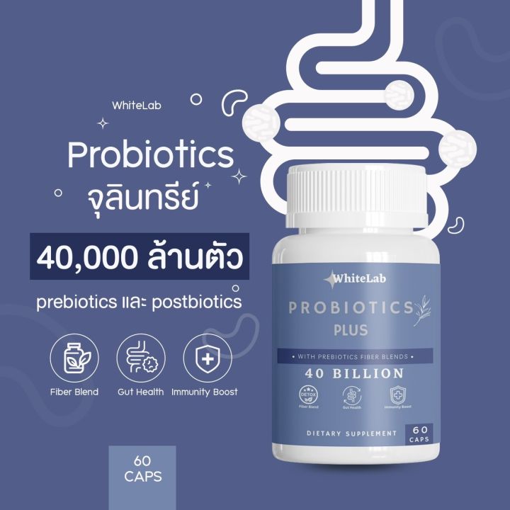 Probiotics Plus (60 Capsules) | Lazada.co.th