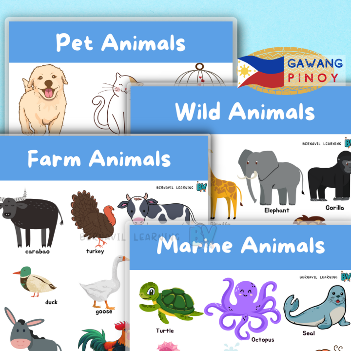 Animals Chart | Laminated Educational Chart | Pet, Farm, Wild, Marine ...
