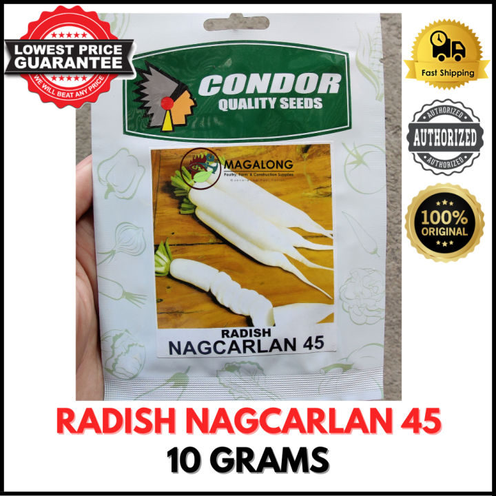 CONDOR SEEDS - RADISH SEEDS - NAGCARLAN 45 10 Grams | Lazada PH