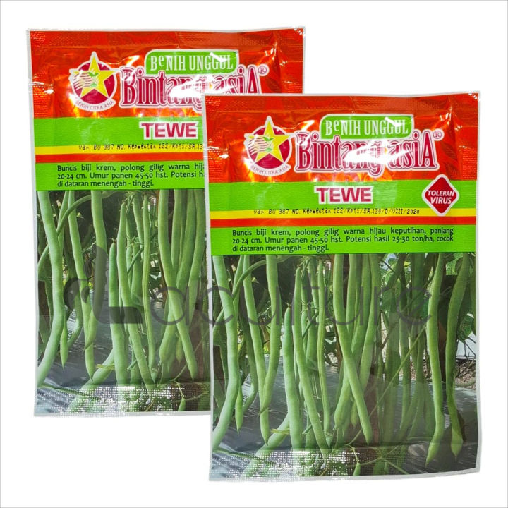 BENIH BUNCIS TEWE 100 GRAM - BINTANG ASIA | Lazada Indonesia