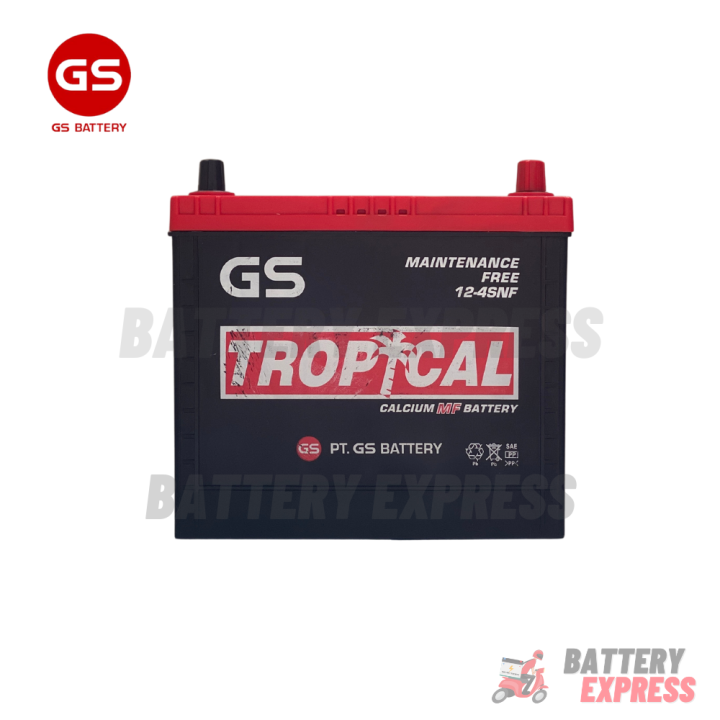 GS Battery NS60 / 1SN Maintenance Free (small post) - Tropical Car ...