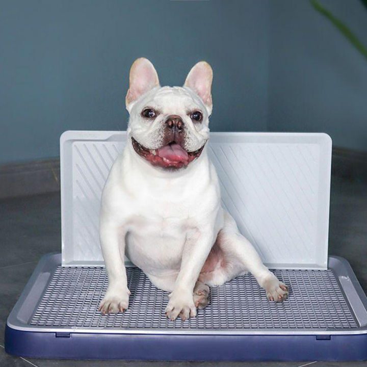 Pet Pee Tray/ Dog Pee Tray/ Plastic Pee Pan/ Urinary Trainer Pee Mat ...