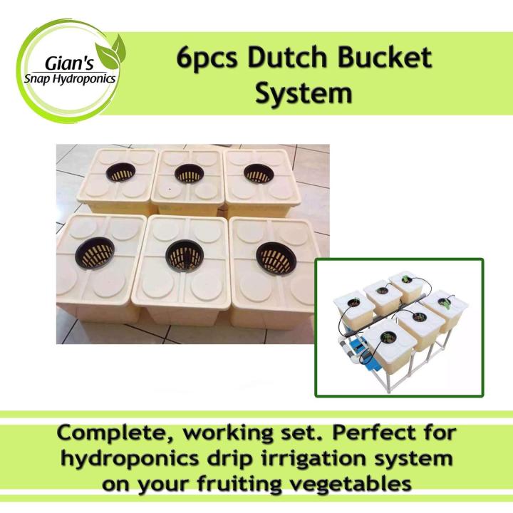 Dutch bucket System Set (6pcs) | Lazada PH