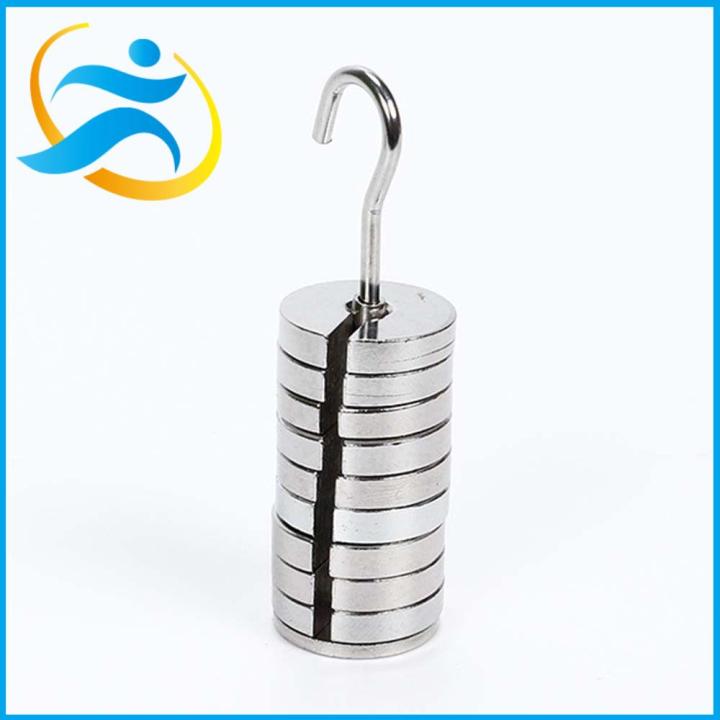 AGONIE SPORTS Chromium-Plated Lab Slotted Mass Set Total 100g 10g Each ...