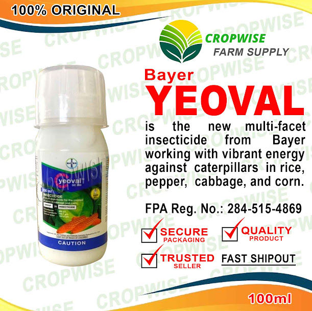 Bayer YEOVAL SC 200 100ml Insecticide | Lazada PH