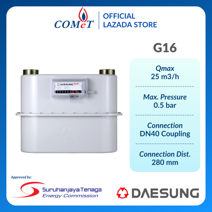DAESUNG Industrial Gas Meter G16 for LPG / NG | Lazada