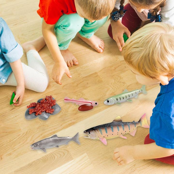 Moon Okey Life Cycle of Salmon Toys Biology Model Science Cake Toppers ...