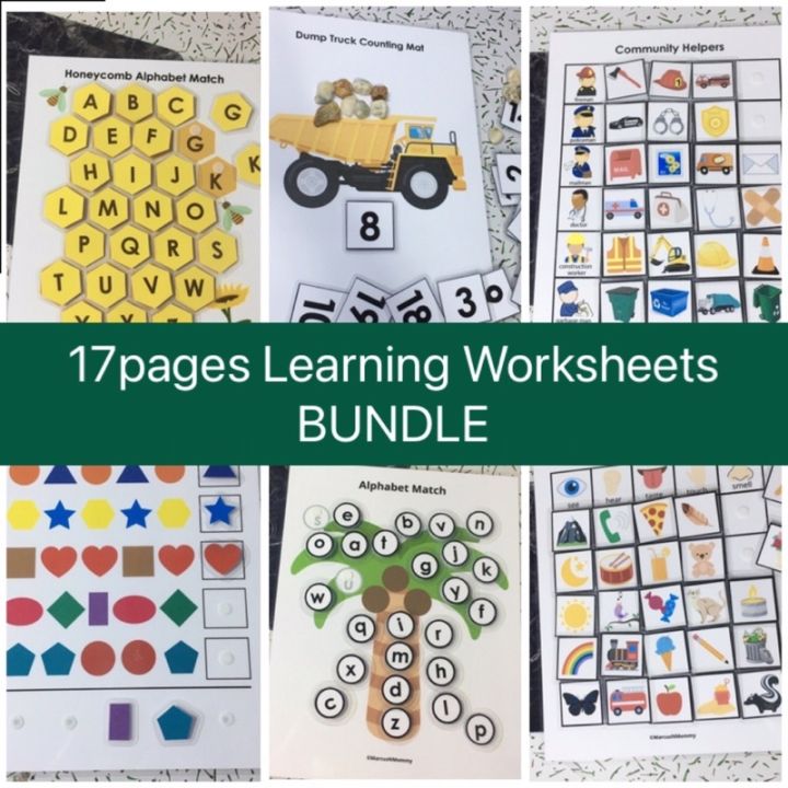 17 Pages Interactive Learning Worksheets BUNDLE (Laminated with Velcros ...