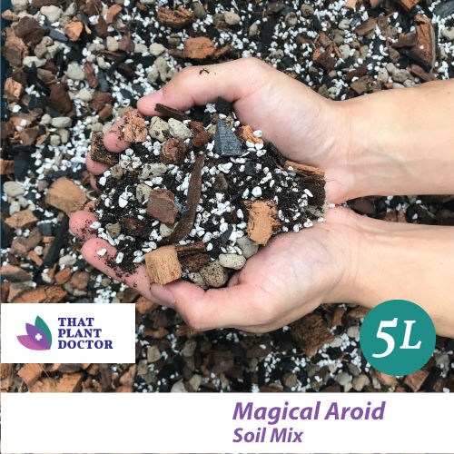 Magical Aroid Soil Mix (25L) | Lazada