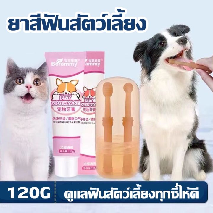 【Junjun】ชุดแปรงฟันสัตว์เลี้ยง แปรงฟันหมา 120g | Lazada.co.th