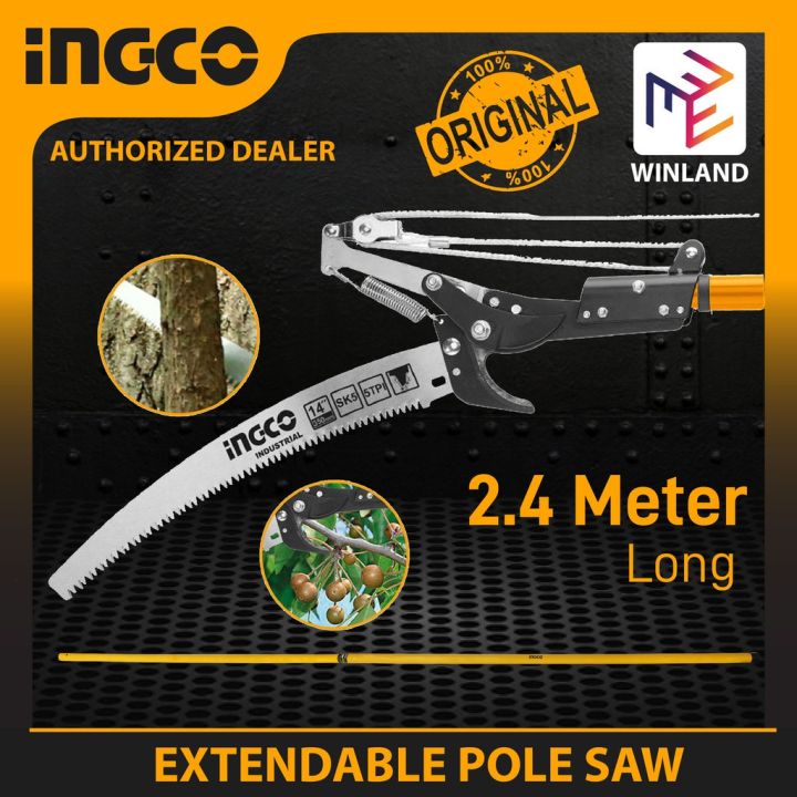 Ingco by Winland Extendable Tree Telescopic Pruner with Saw, Long ...