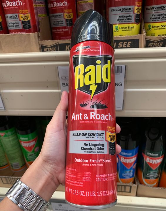 Raid Ant & Roach Outdoor Fresh 496g | Lazada PH