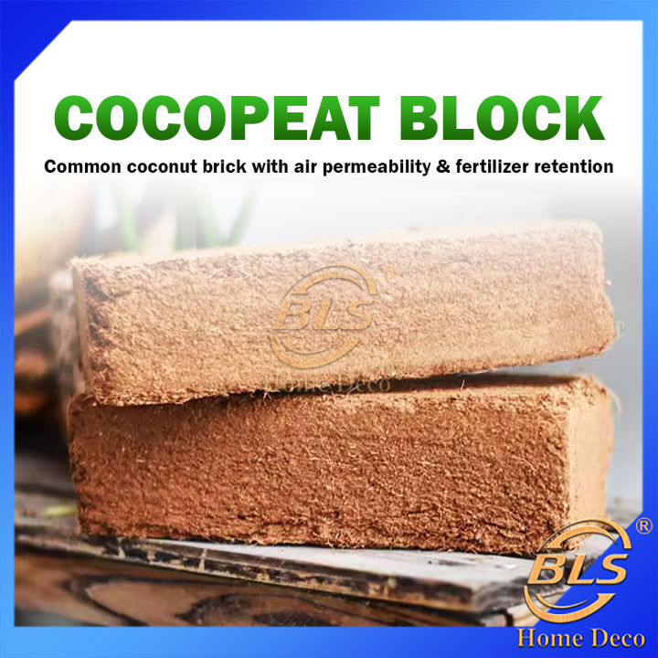 650g Cocopeat Block Compressed Cocopeat Brick Premium Coir Coco Peat ...