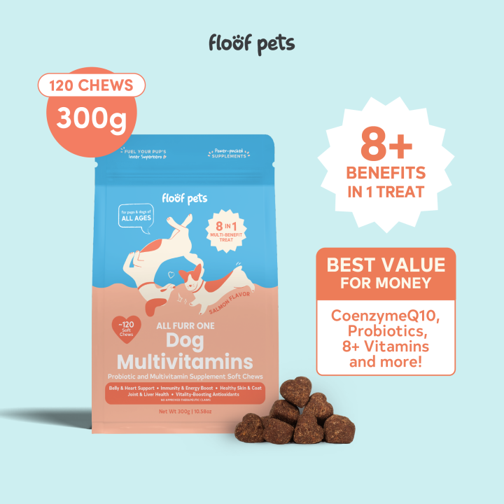 COD Floof Pets 8 in 1 Dog Multivitamin Treat 300g with Probiotics ...
