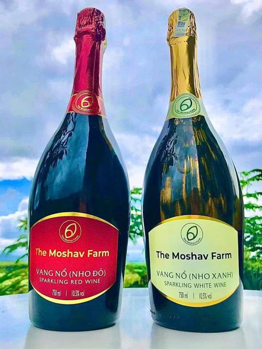 Rượu vang nổ đỏ và trắng - Sparkling red and white wine - The Moshav ...