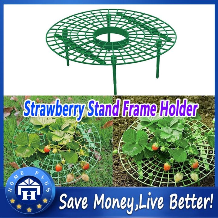 【Local delivery】 Strawberry Stand Plastic Frame Holder Balcony Planting ...