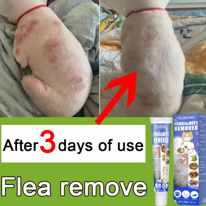 Pet Ointment for Dog tick and flea killer for dogs Skin Herbal ...