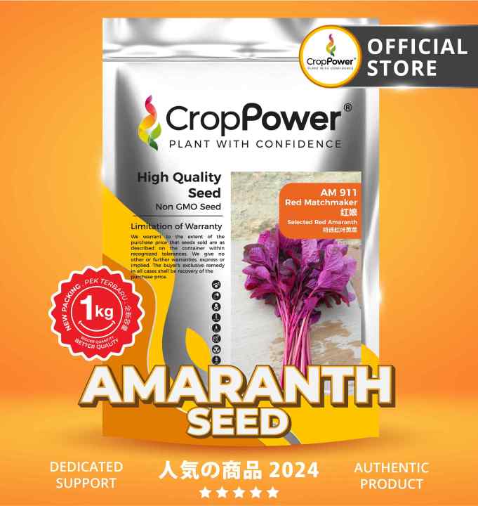 (1 KG) Biji Benih Bayam Merah Red Matchmaker 红娘 AM911 CROP POWER Full ...