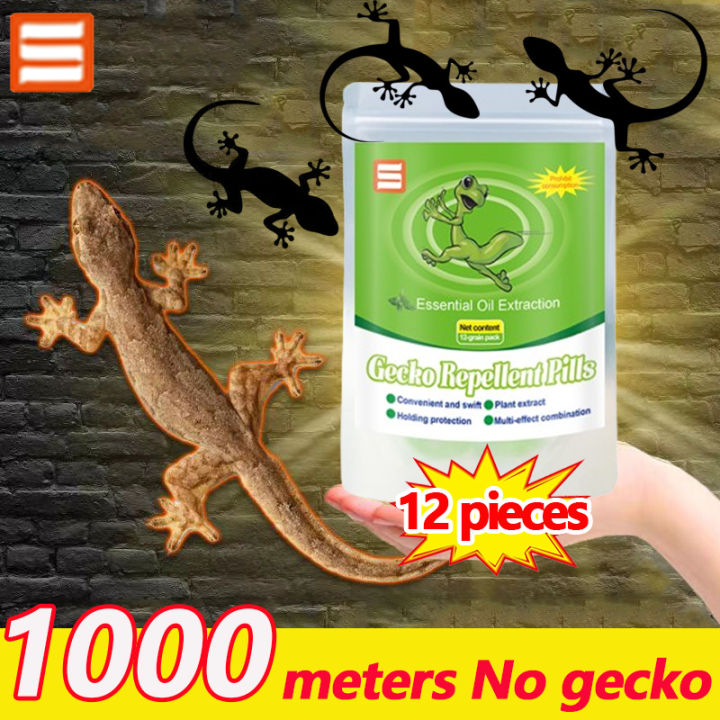 🦎kill all geckos and lizards🦎WB Lizard killer Gecko repellent Racun ...