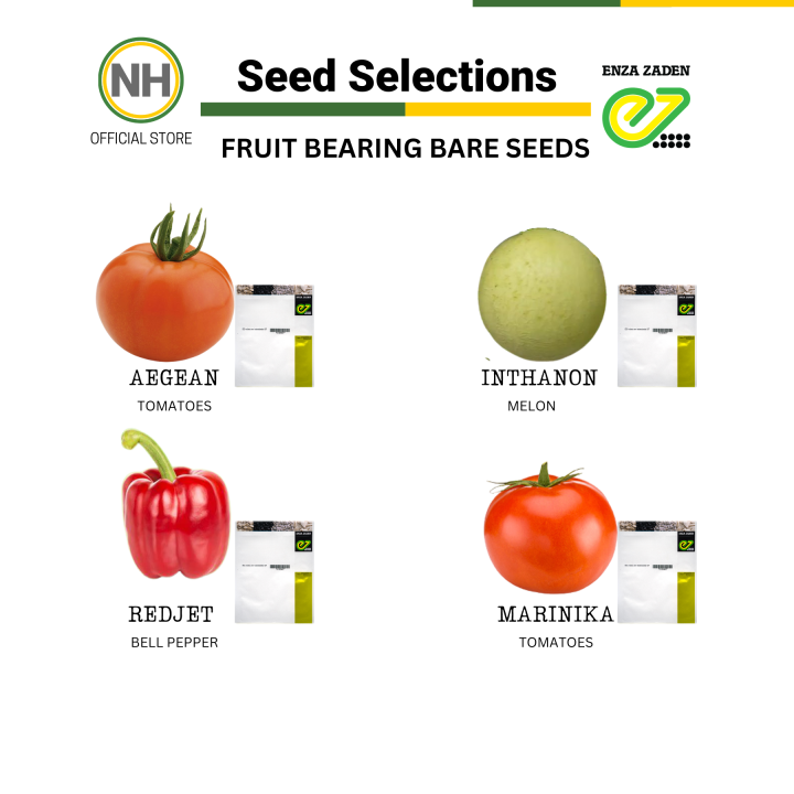 Enza Zaden Fruit Bearing Seeds I 100pcs I NutriHydro | Lazada PH