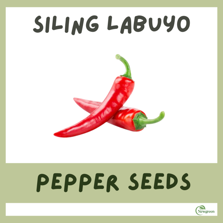 Siling Labuyo Seeds Gulay Seed Vegetable Seeds Buto Pepper Seeds ...
