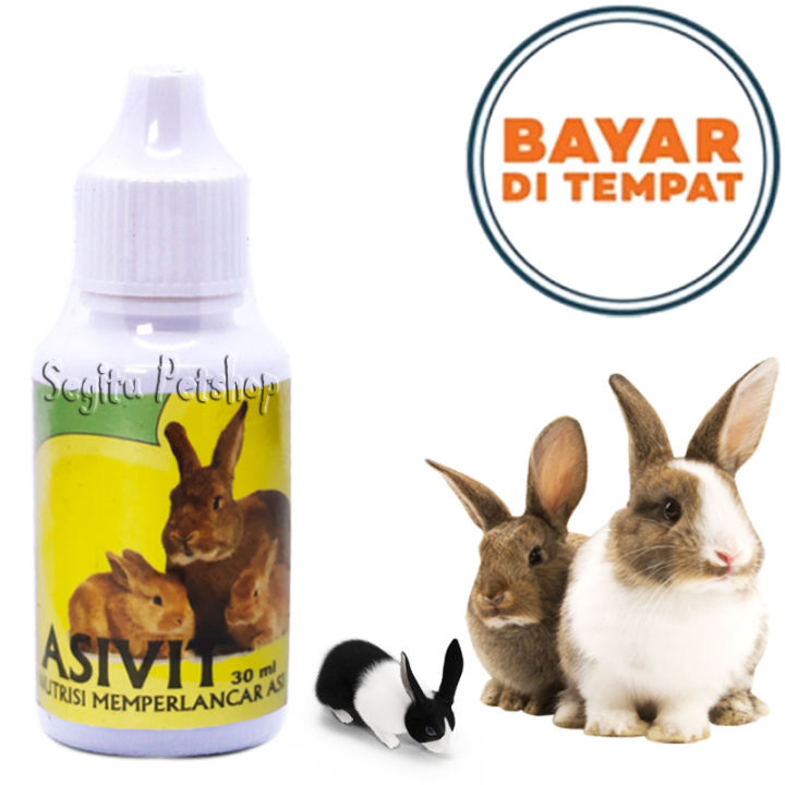Vitamin Kelinci Hamil Menyusui Melancarkan Asi Air Susu Indukan Asivit ...