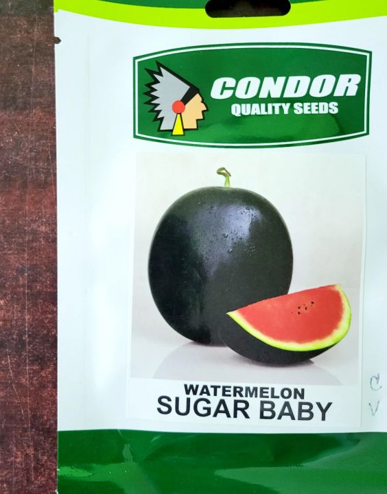 SUGAR BABY OPV WATERMELON SEEDS (3 GRAMS) by CONDOR | Lazada PH