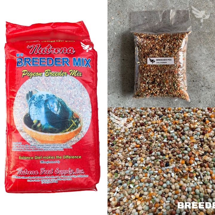 Nutrena Breeder Mix 1kg Repacked - Pigeon Feeds - Pigeon Food - 1 KG ...