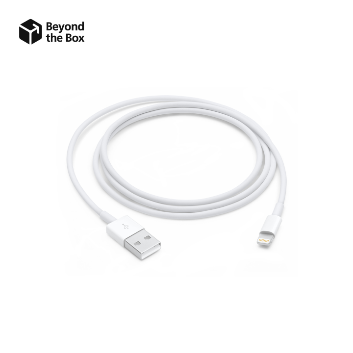 Apple USB-A to Lightning Cable (1m) | Lazada PH