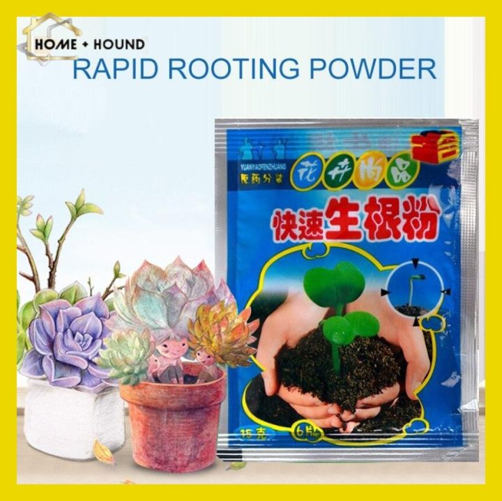Home+Hound 1Pcs Fast Rooting Powder Rooting Hormone Powder Improve ...