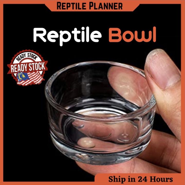 Reptile Terrarium Water Bowl Spider Lizard Scorpion Corn Snake ...