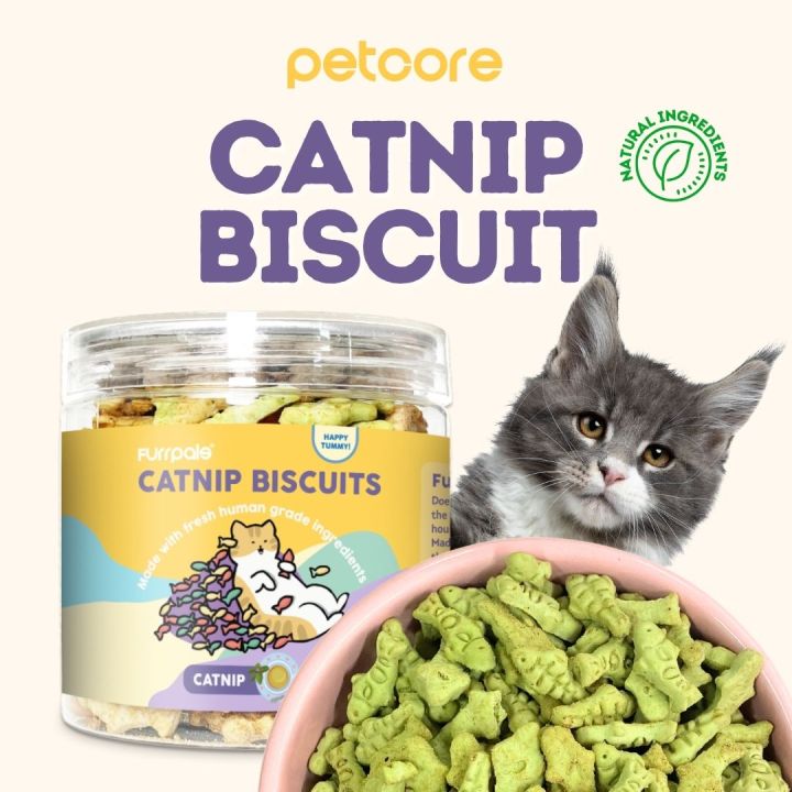 Furrpals Catnip Biscuit Cat Cookies Chicken+Fish+Mint Flavor 160g Molar ...