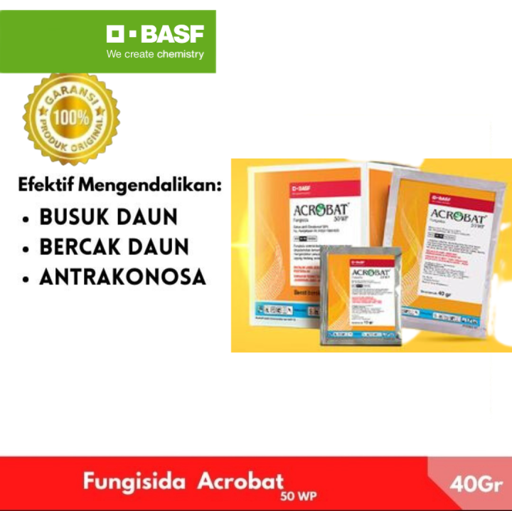 Acrobat 50 WP (40gr) - Fungisida Sistemik [Obat Layu Fusarium Jamur] | Lazada Indonesia