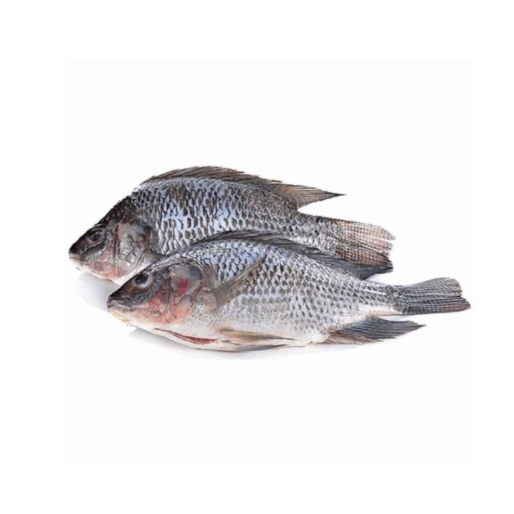 Frozen Tilapia Cleaned (300-400g) | Lazada PH