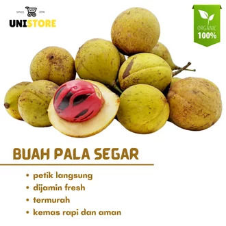 Buah Pala Segar 1 Kg Fres Untuk Herbal Dan Manisan Pala | Lazada Indonesia