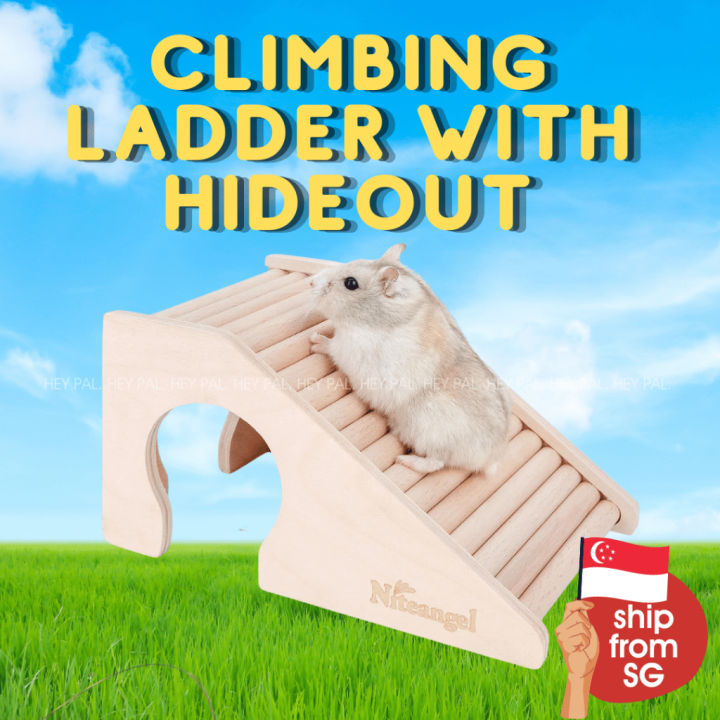 Niteangel Multipurpose Climbing Ladder Stairs with Hideout for Small ...