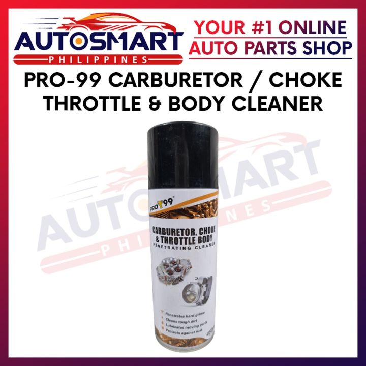PRO-99 Carburetor/Choke/Throttle Body Cleaner 450mL | Lazada PH
