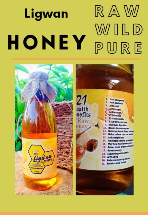 Laboratory Tested Ligwan Raw, Wild and Pure Honey 1440g | Lazada PH